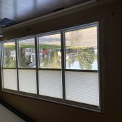 Top-Down Bottom-Up Light Filtering Honeycomb Shades | Select Blinds Canada